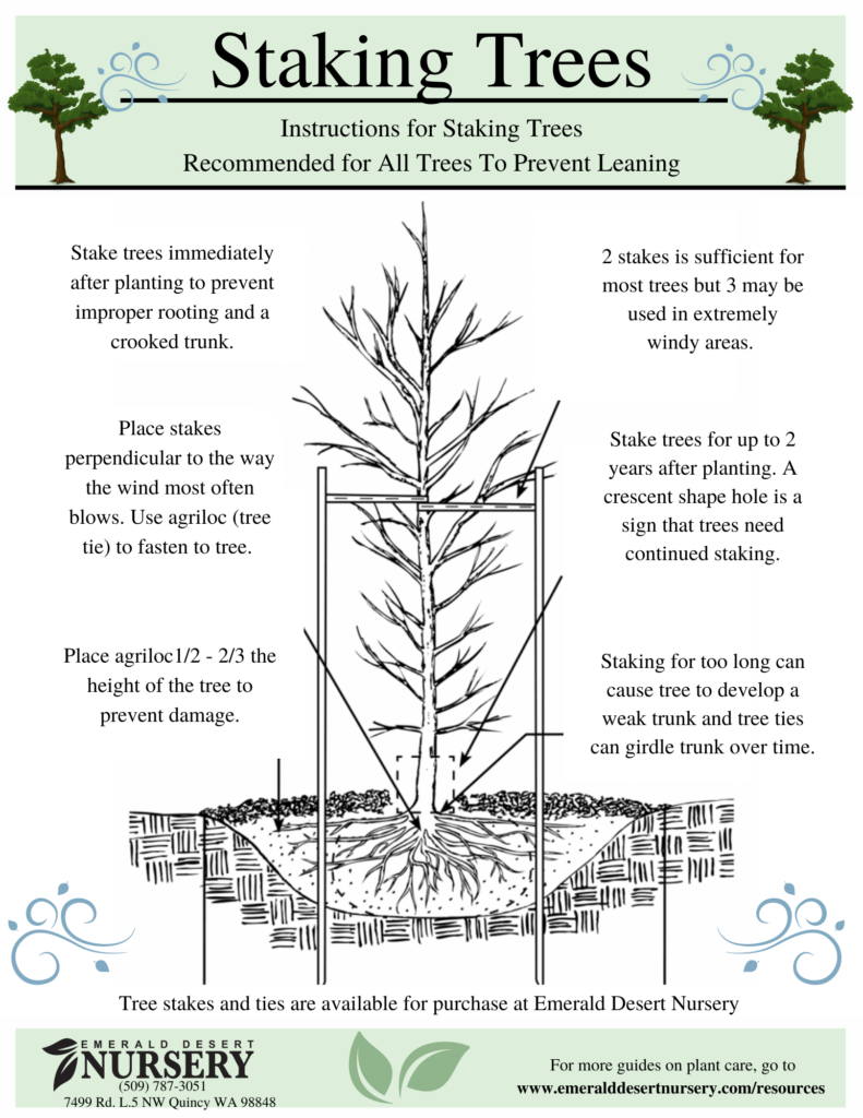 Resources – Emerald Desert Nursery
