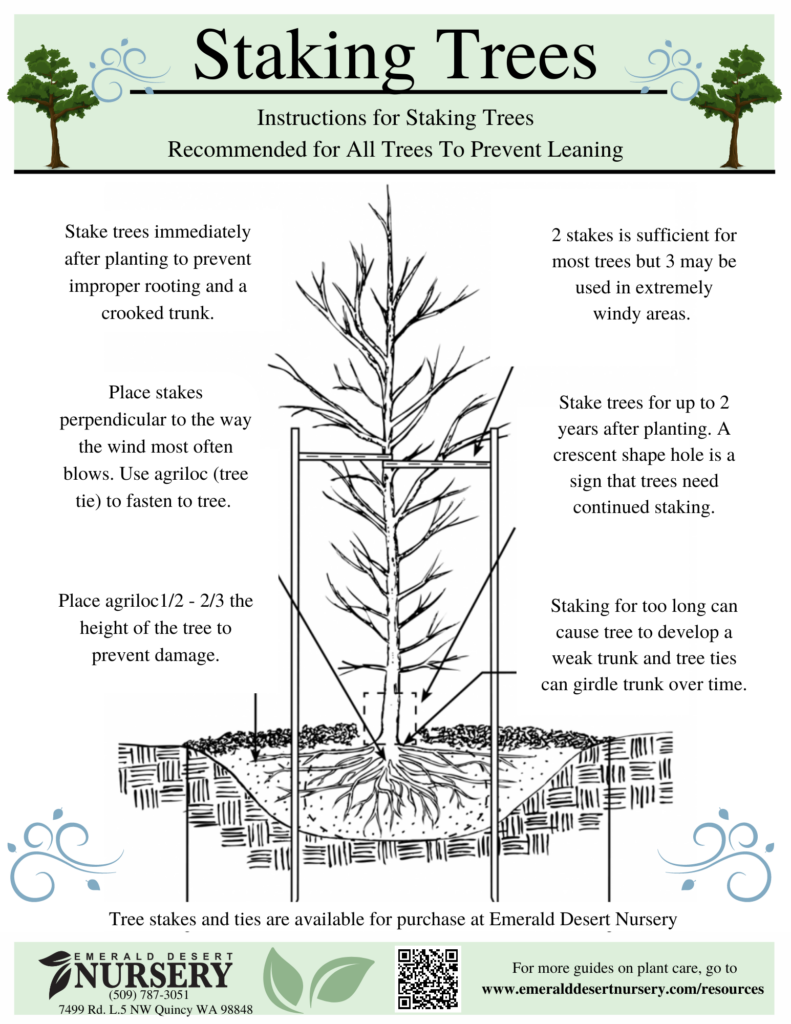 Resources – Emerald Desert Nursery